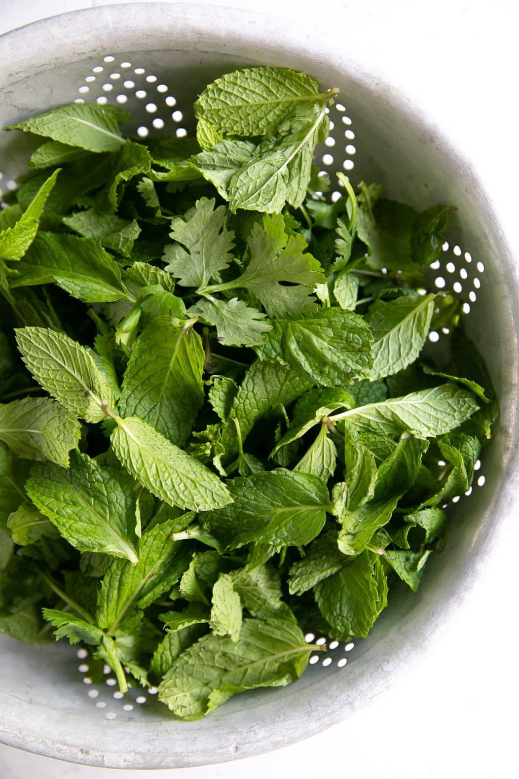 Mint Chutney Recipe (Pudina Chutney) - The Forked Spoon