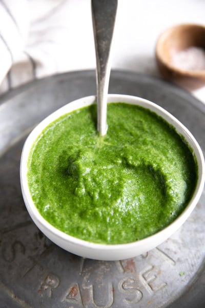 Mint Chutney Recipe (Pudina Chutney) - The Forked Spoon