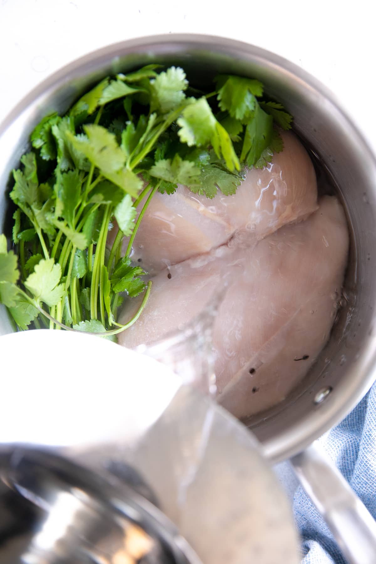 Poached Chicken Breasts (How to Poach Chicken) - The Forked Spoon
