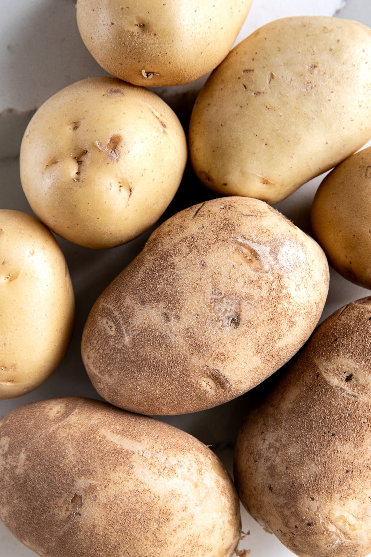 Waxy vs. Starchy Potatoes: Which One to Use? - The Forked Spoon