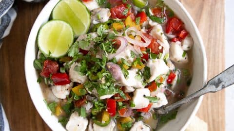 Peruvian Ceviche Raw Fish